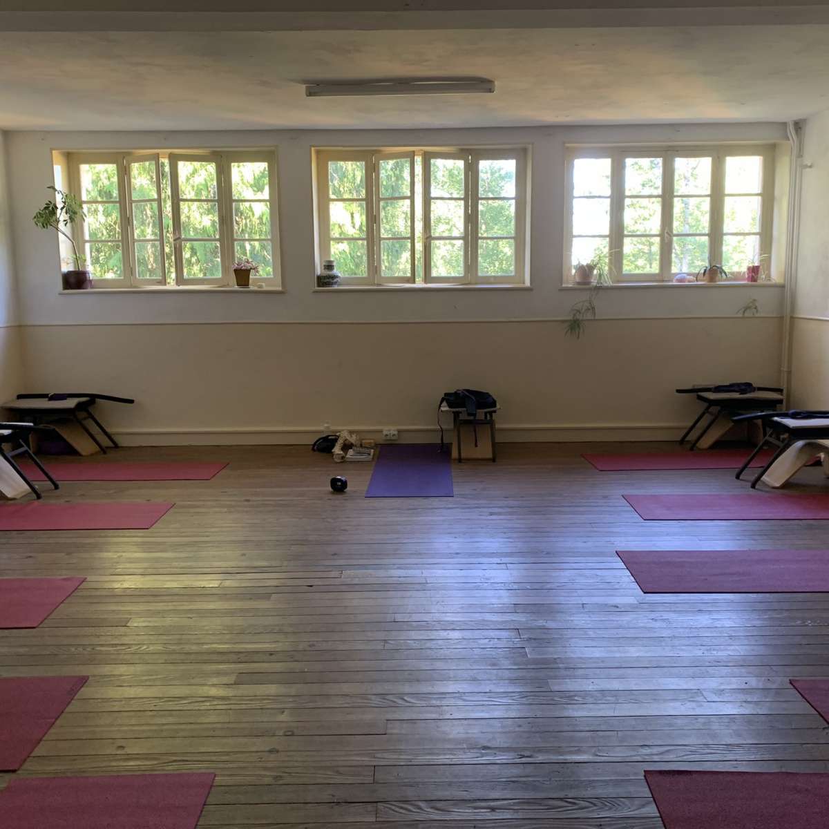 Critical Alignment Yoga “Landen in je lichaam” Cursusweek | ECOlonie