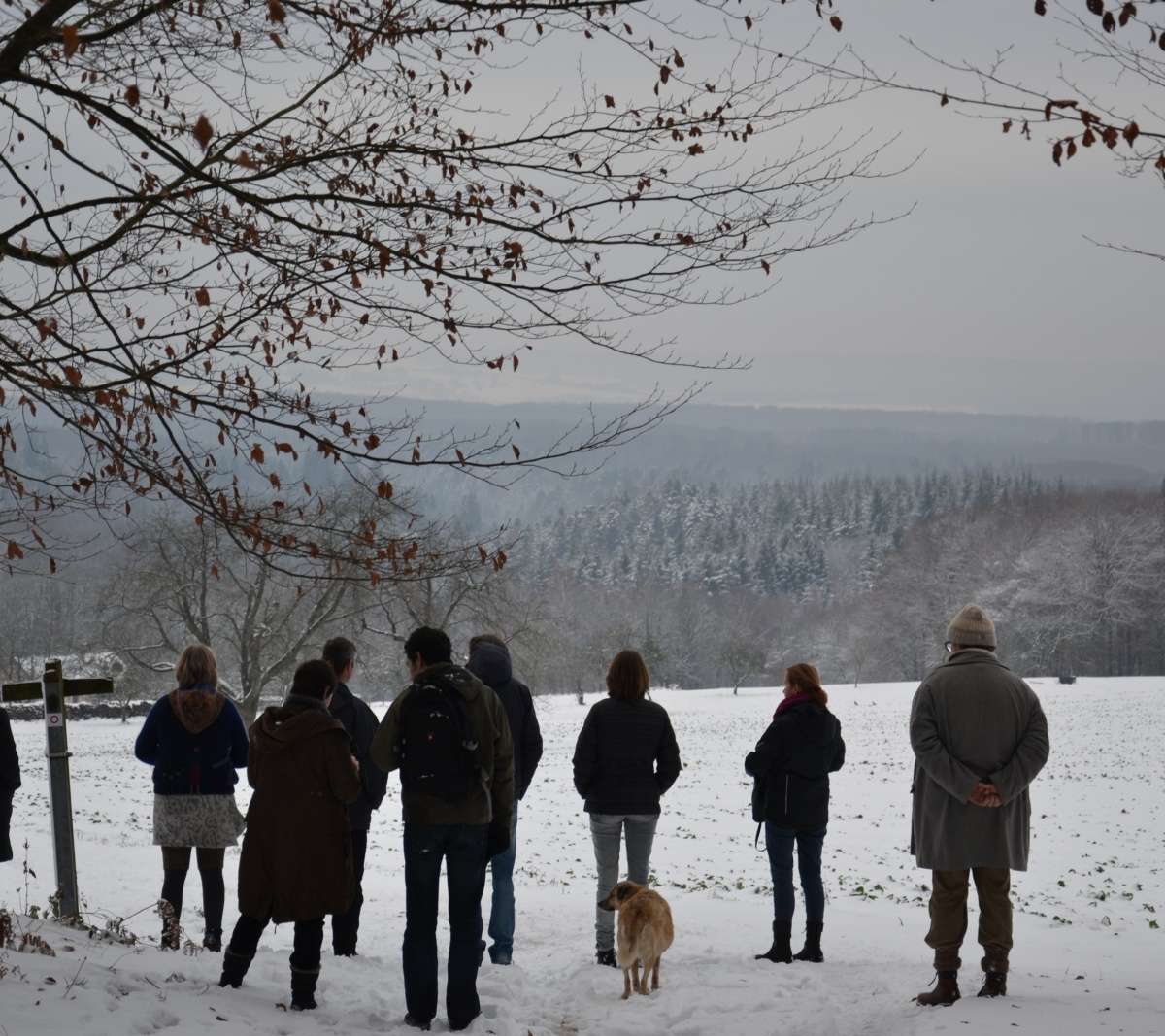 Begeleide wandelingen met gids | ECOlonie Begeleide wandelingen met gids | ECOlonie